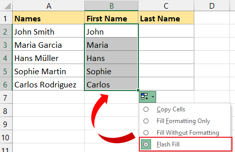 Master Excel Data Entry with Flash Fill –with 5 Examples